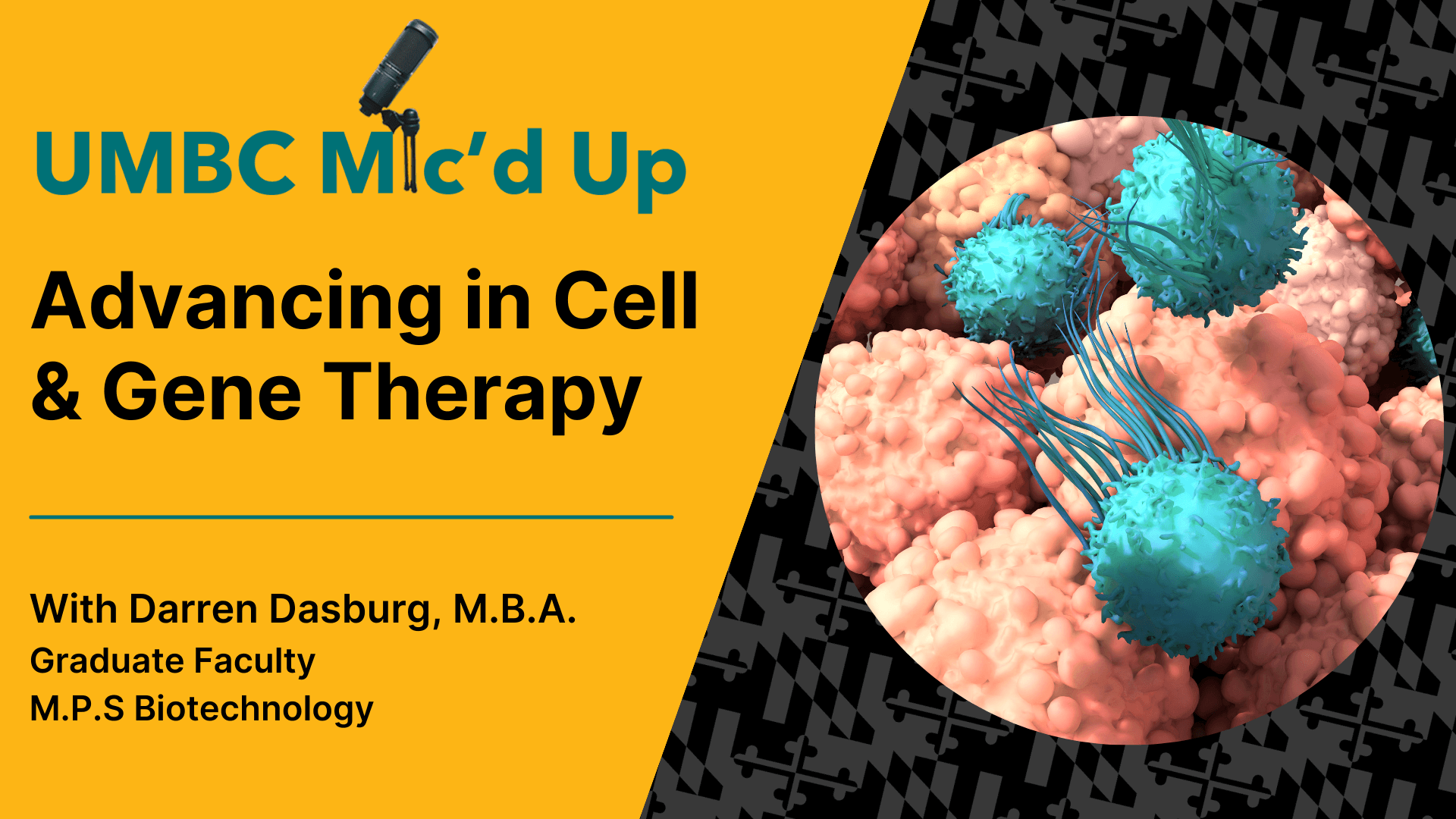 Advancing in Cell & Gene Therapy at UMBC – Office of Professional Programs